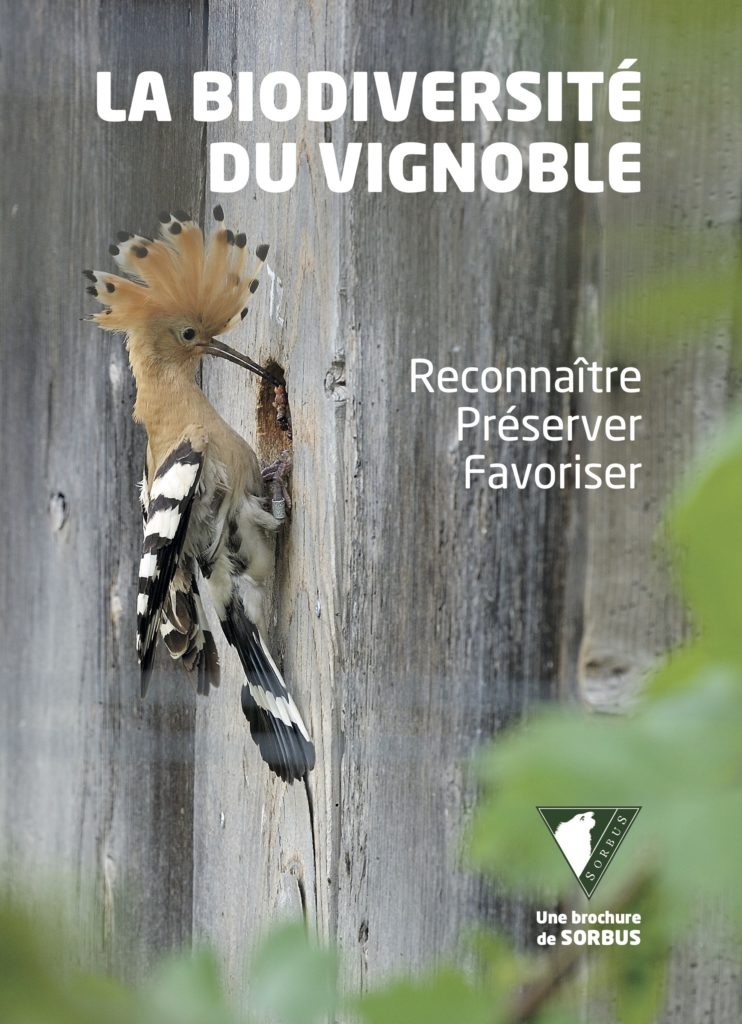 Biodiversité – VITIplus