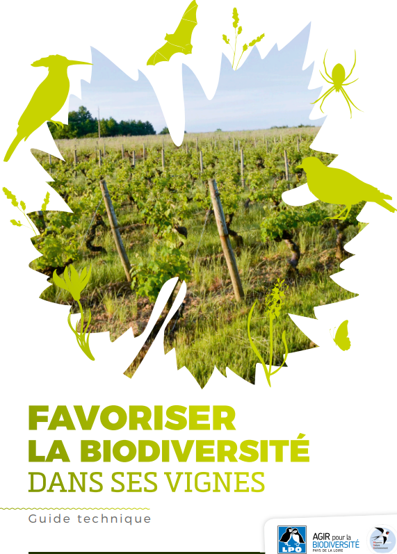 Biodiversité – VITIplus