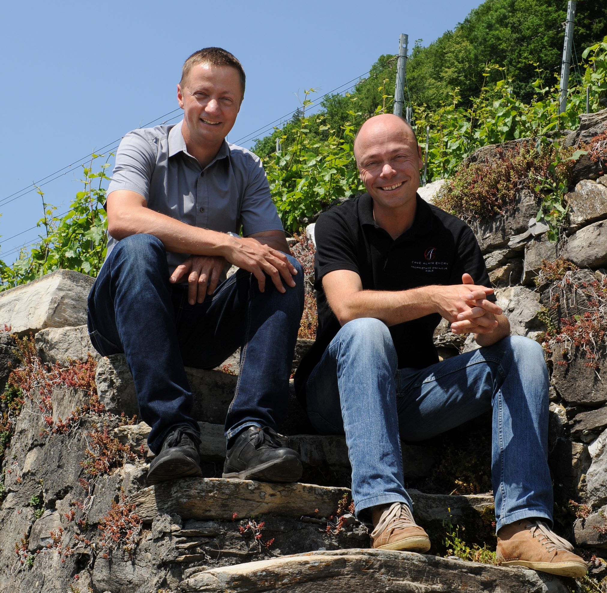 Le certificat VITISWISS, c’est quoi? – VITIplus